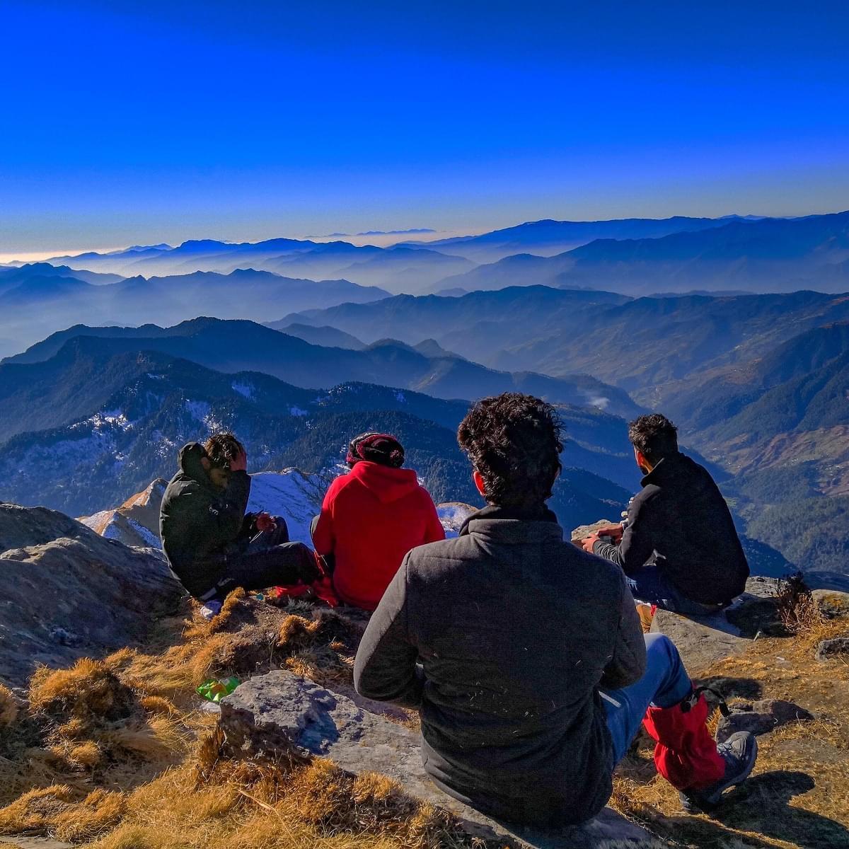 Chopta Monsoon Travel Guide: Explore the Lush Beauty of Chopta During ...